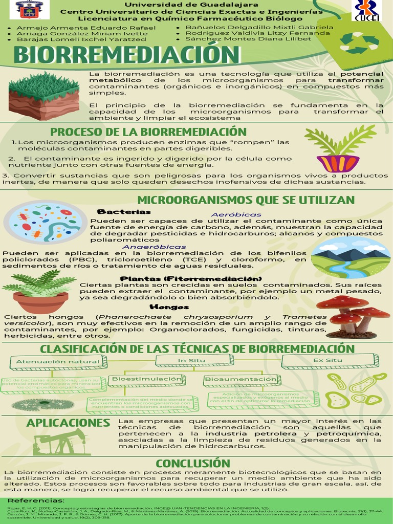 Biorremediación | PDF | Entorno natural | Química