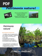 Patrimonios Arqueologicos Naturales de Guatemala | PDF | Ciencias sociales | Ciencia y matemáticas