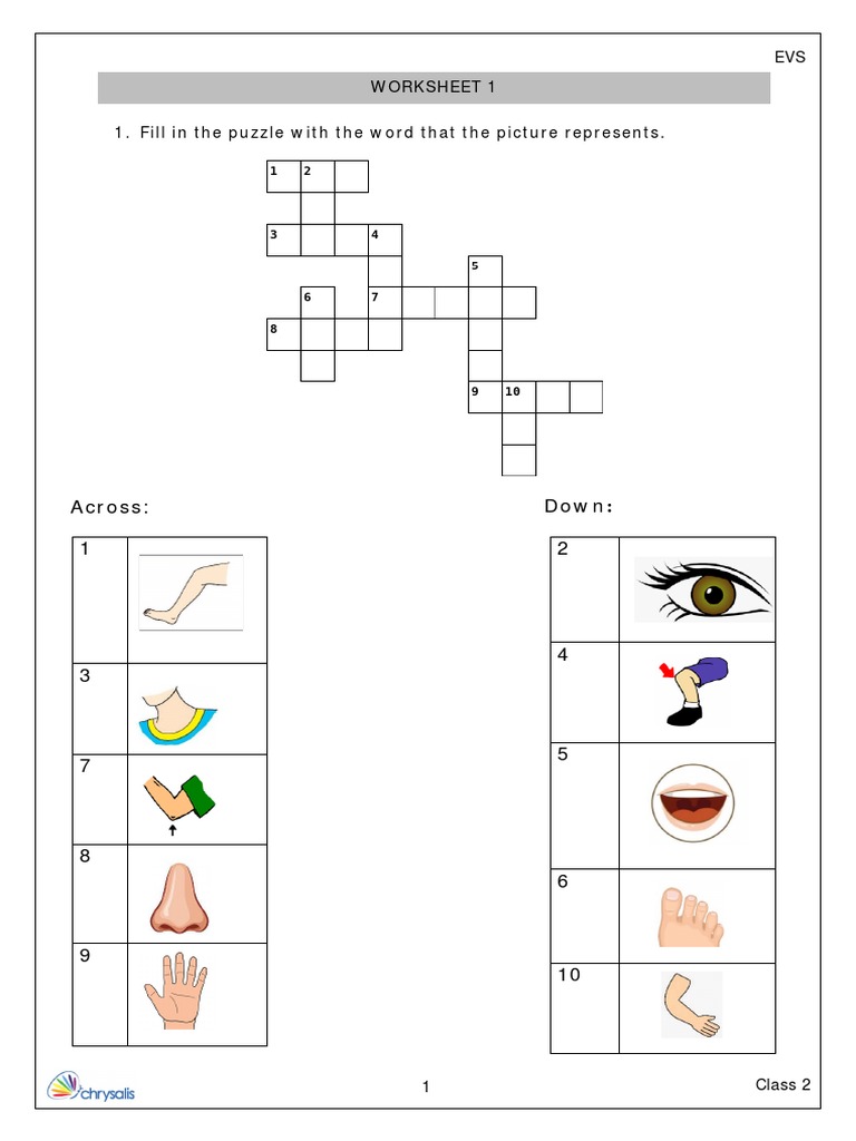 Class 2 EVS Worksheet 1 Part 1 | PDF | Language Arts & Discipline