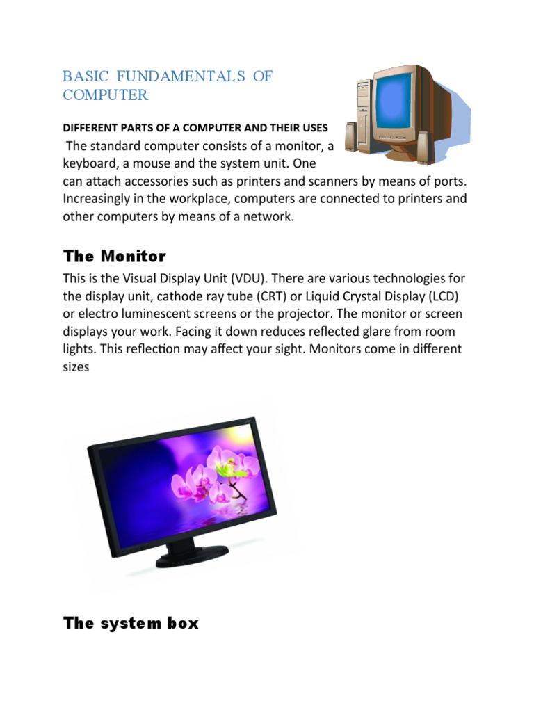 Computer Basics for Beginners | PDF | Central Processing Unit | Input ...