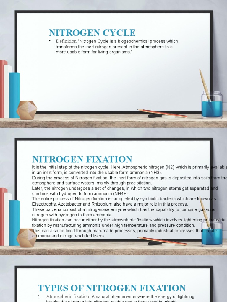 Nitrogen Cycle | PDF | Physical Sciences | Environmental Science