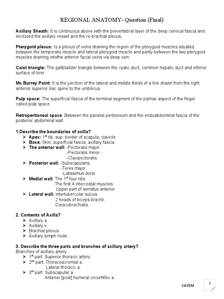 Regional anatomy Question- Final | PDF | Pancreas | Stomach