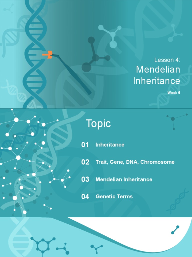 Lesson 2a Mendelian Inheritance | PDF