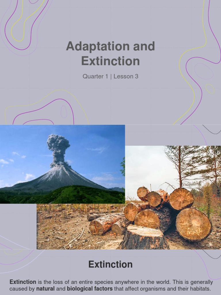 Causes of Species Extinction | PDF