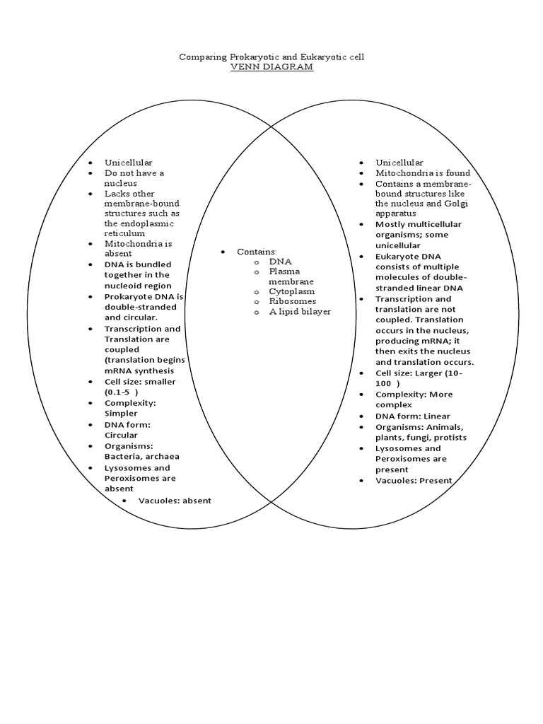 Prokaryotes and Eukaryote Venn Diagram | PDF | Cell (Biology) | Eukaryotes