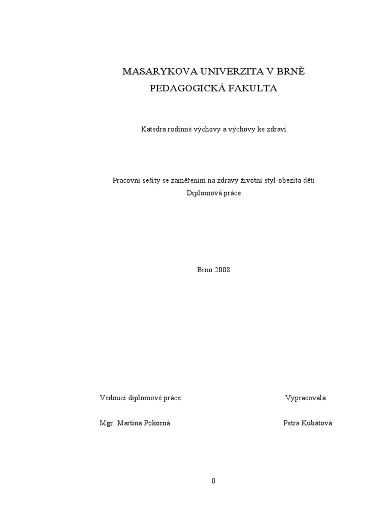 Diplomova Prace | PDF