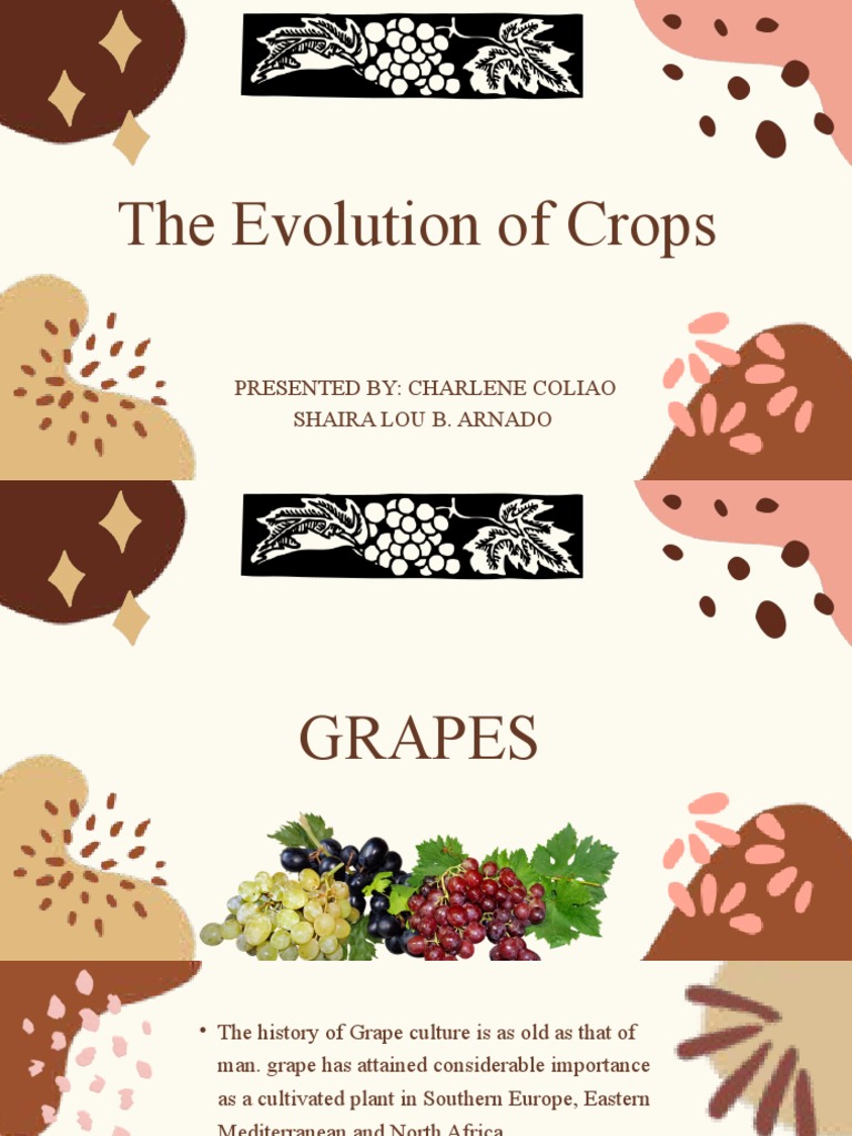 The Evolution and Domestication of Grapes: From Their Origins in the ...