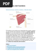 Signo de Homans: Diagnóstico y Relevancia | PDF | Anatomía del miembro ...