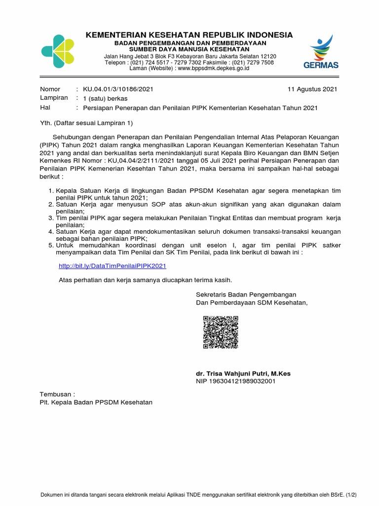 Penerapan dan Penilaian PIPK 2021 Kemenkes | PDF