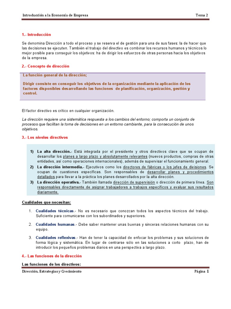 Tema 2 IEE Dirección, Estrategias y Crecimiento | PDF | Análisis FODA | Planificación