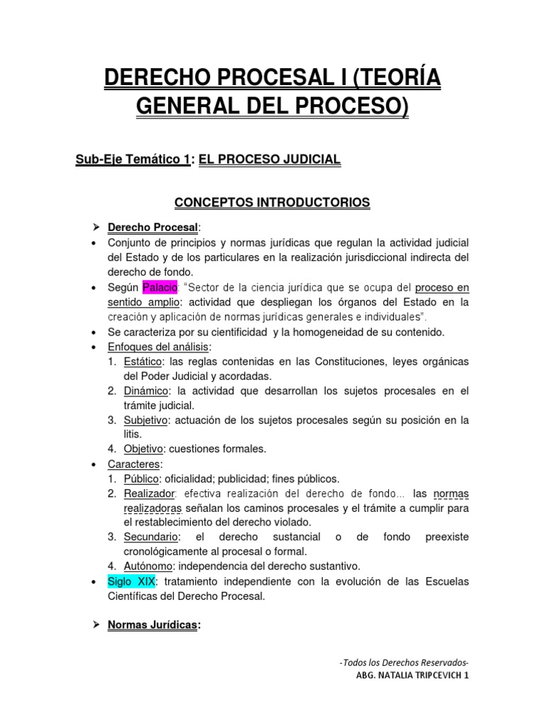 Derecho Procesal I (Teoría General Del Proceso) - Apunte Completo | PDF | Ley procesal ...