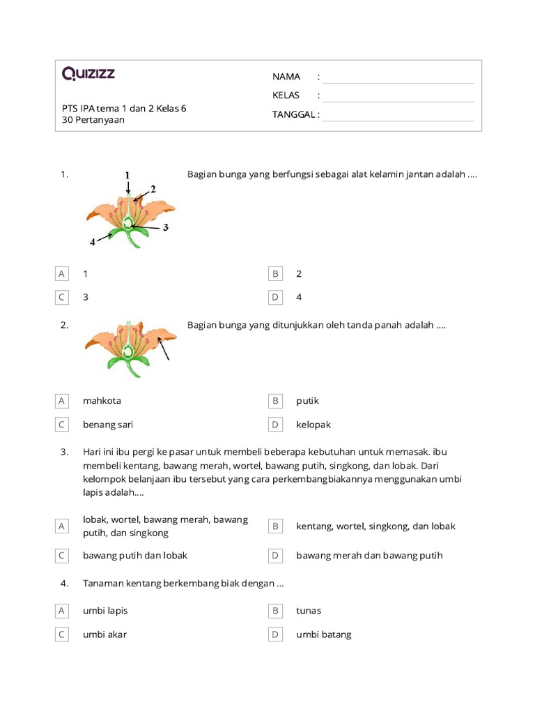 PTS IPA Tema 1 Dan 2 | PDF