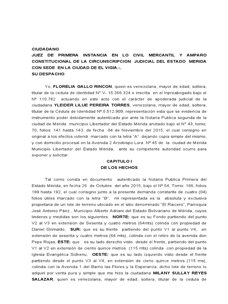 Demanda Derecho de Accesion | PDF | Propiedad | Demanda judicial