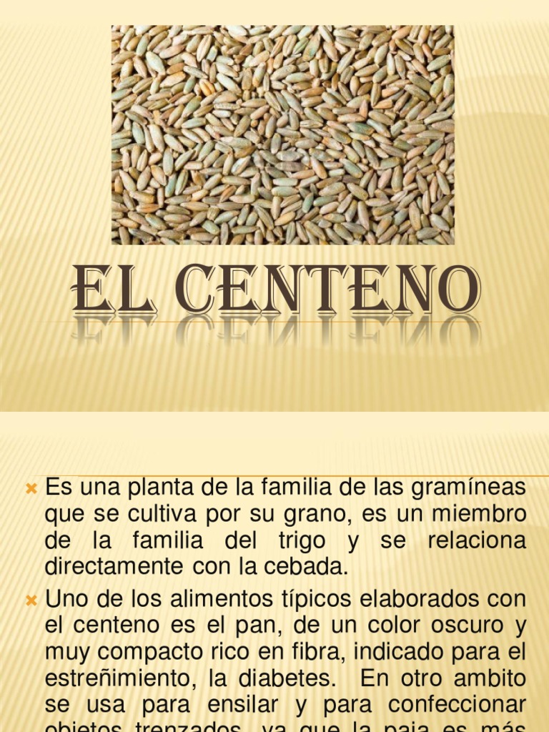 El Centeno | PDF | Cereales | Centeno