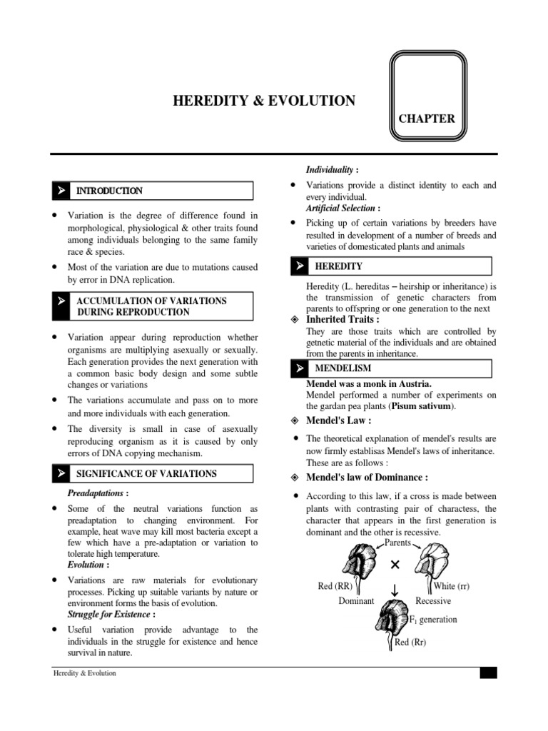 7-Heredity & Evolution (Theory + Ex.) | PDF