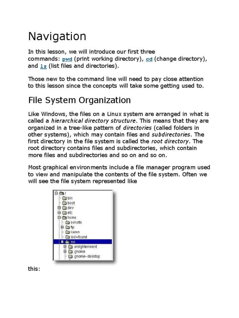 Shell Navigation | PDF | Computer File | Filename