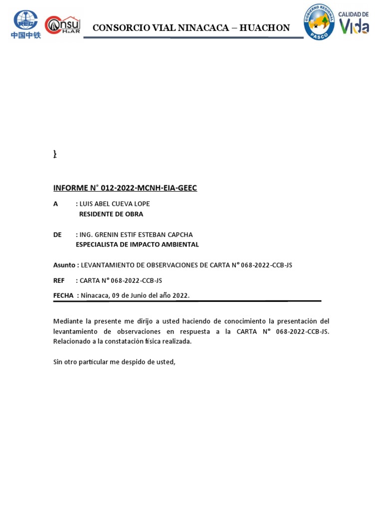 Informe N 12 Lev - Observaciones | PDF