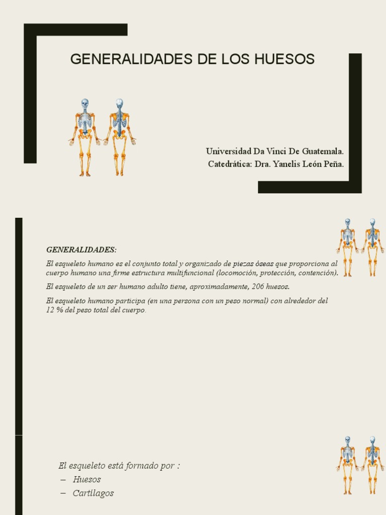 Generalidades de Los Huesos | PDF | Hueso | Esqueleto