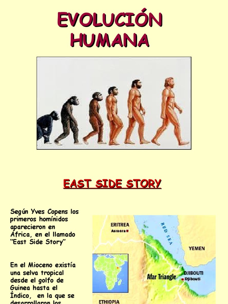 Evolución de los Homínidos en África | PDF | Homo | Evolución humana