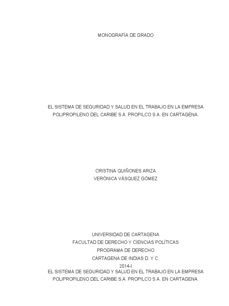 Monografía Sistema de Gestiòn de La Seguridad y Salud en El Trabajo en ...