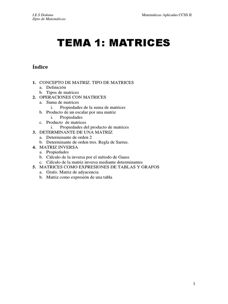 Matemáticas, Tema 1 ''Matrices'' | PDF | Matriz (Matemáticas) | Determinante