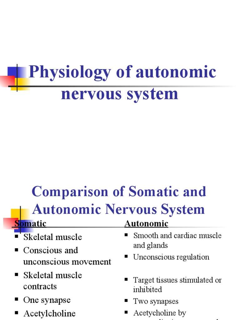 12 Physiology of autonomic nervous system (1) | PDF | Autonomic Nervous ...