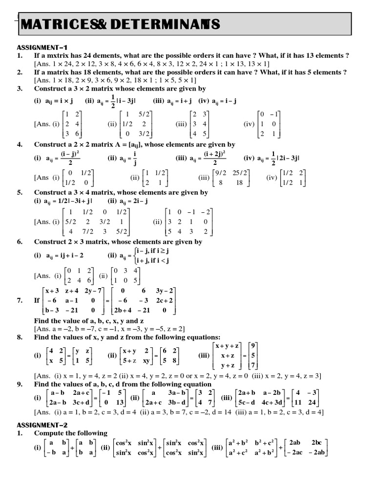 Matrices & Determinants Assignment | PDF | Mathematical Relations | Matrix Theory