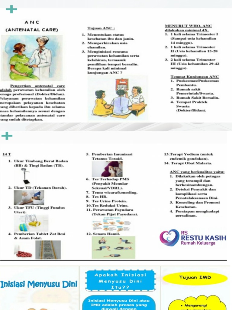 Leaflet Anc Dan Imd | PDF