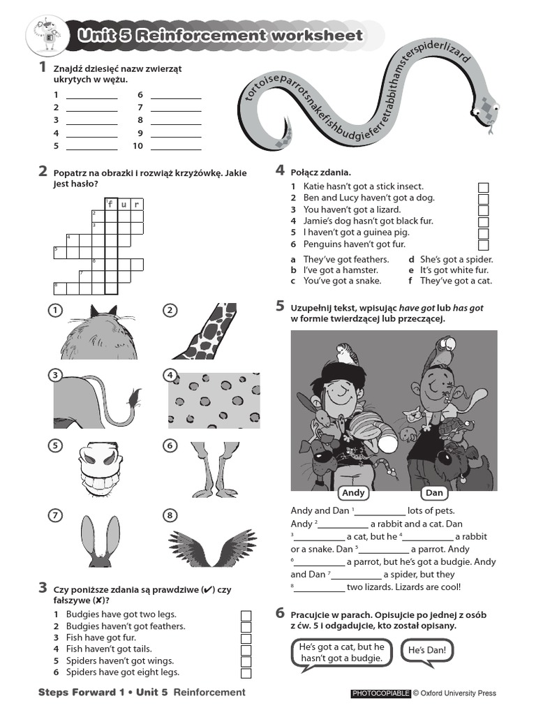 Unit 5 Reinforcement and Extension | PDF