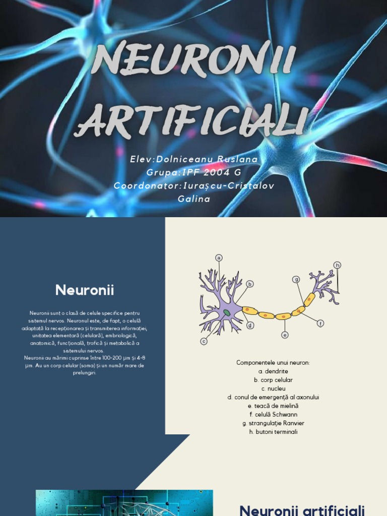 Neuroni Artificiali | PDF