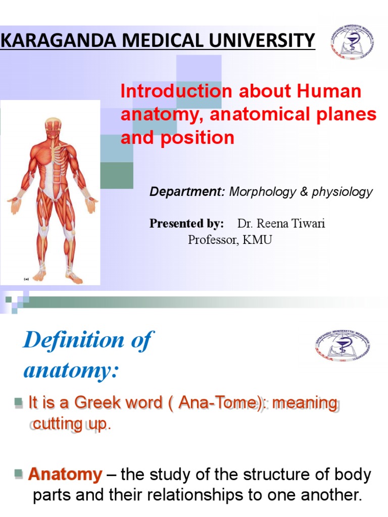Introduction To Human Anatomy-1-1 | PDF | Anatomical Terms Of Motion ...