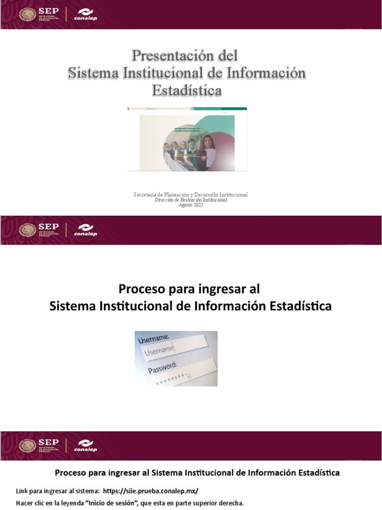 Procesos de Captura y Validación Del SIIE | PDF | Ventana (informática ...