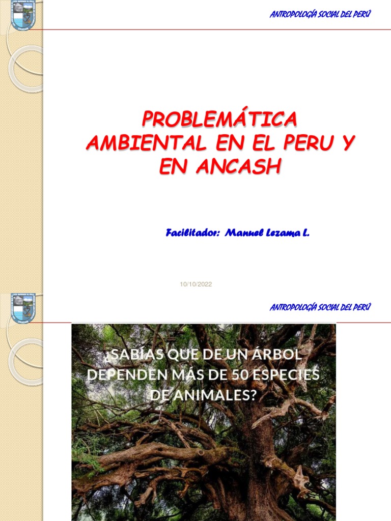 Problemática Ambiental en El Perú | PDF | Entorno natural | Agricultura