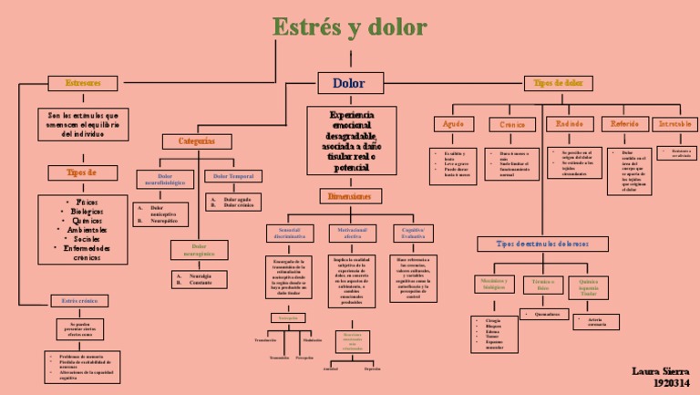 Mapa Conceptual Dolor, Laura Sierra | PDF | Dolor | Síntomas y signos