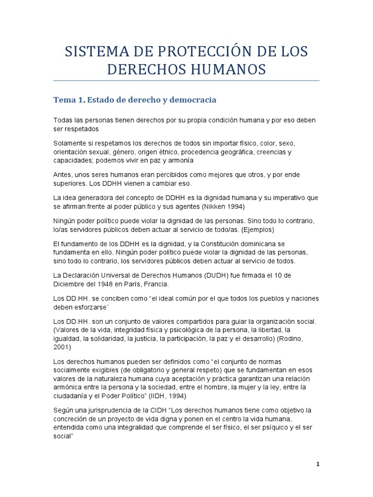 Sistema de protección de los derechos humanos: Fundamentos, evolución histórica y situación ...