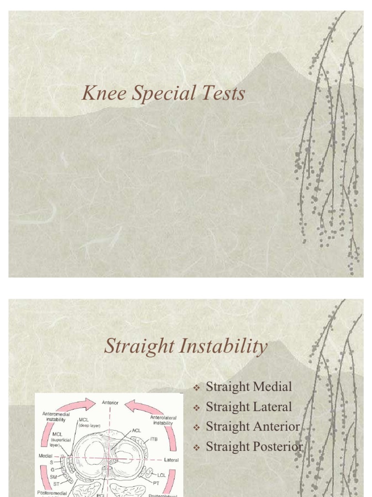 Knee Special Tests | PDF