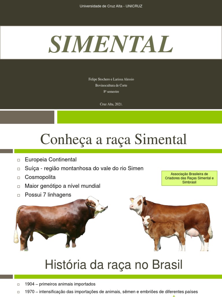 SIMENTAL | PDF