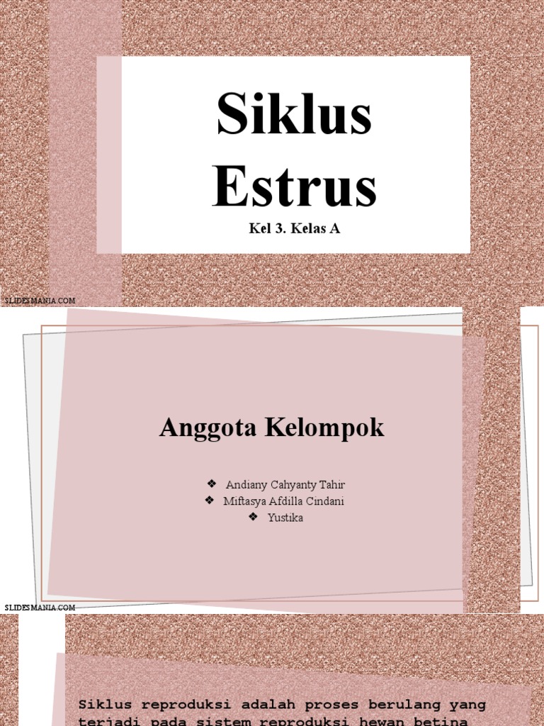 Sparkles SlidesMania | PDF