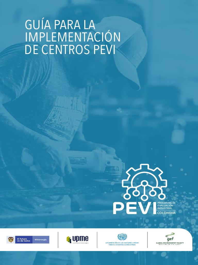 Guia PEVI | PDF | Uso eficiente de energía | Gestión energética