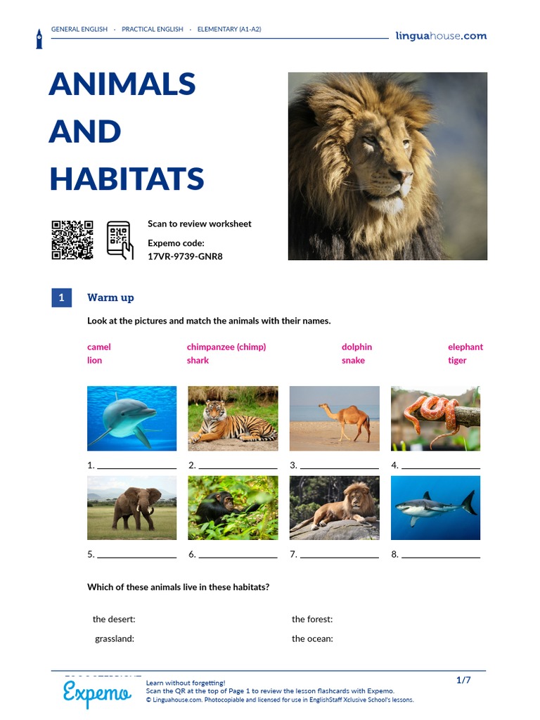 Animals-And-Habitats (A1-A2) | PDF | Dolphin | Chimpanzee