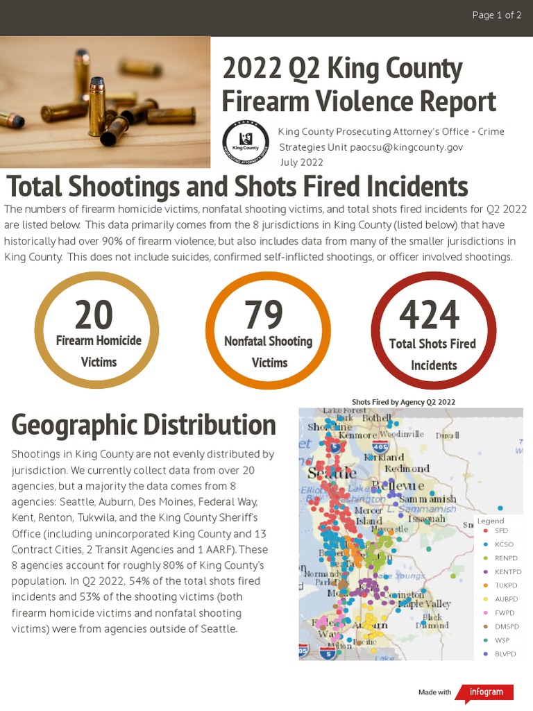 King County Firearm Violence Report | PDF | Race And Ethnicity In The ...