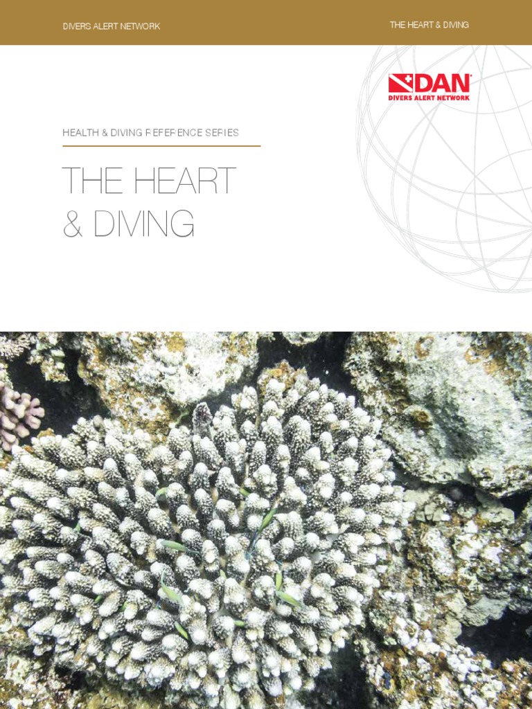 The Heart and Diving Dan Dive Medical Reference | PDF | Heart | Heart Rate