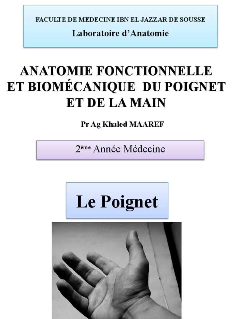 Biom Poignet Main | PDF | Main | Système squelettique
