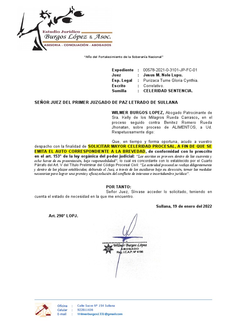 Celeridad Sentencia - Kelly de Los Milagros Rueda Carrasco | PDF