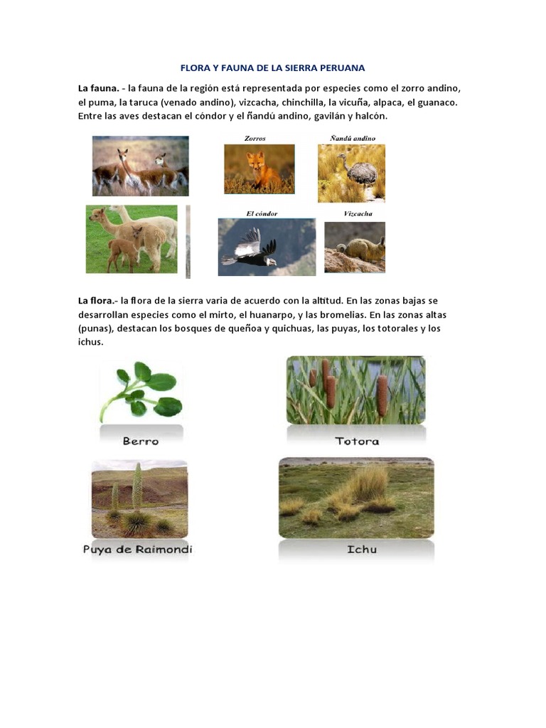 52flora y Fauna de La Sierra Peruana | PDF