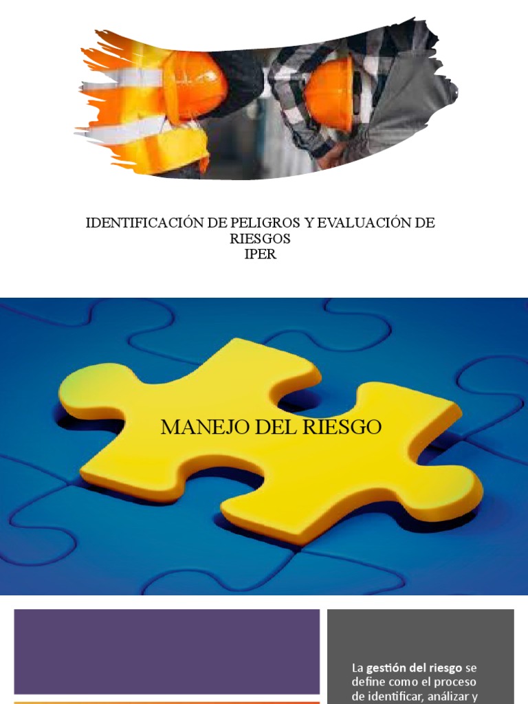 Identificación de Peligros y Evaluación de Riesgos | PDF | Riesgo | Naturaleza