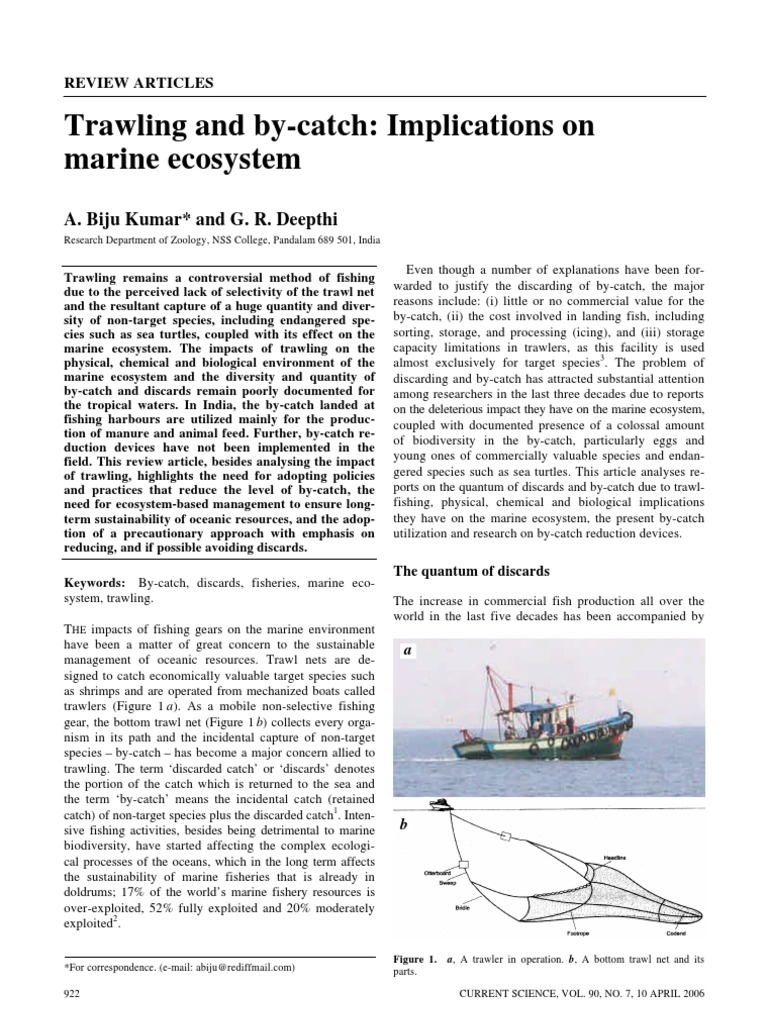 Trawling Impact on Marine Ecosystem | PDF | Trawling | Sea