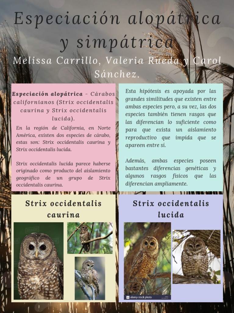 Ejemplos - Especiación Alopátrica y Simpátrica | PDF | Evolución ...