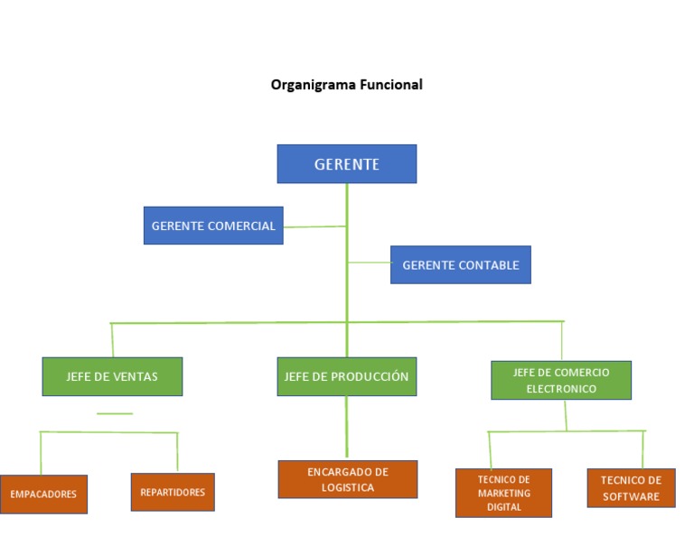 Organigrama Funcional | PDF