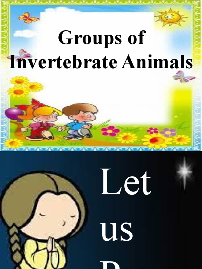 Groups of Invertebrates Animals | PDF | Invertebrate | Organisms